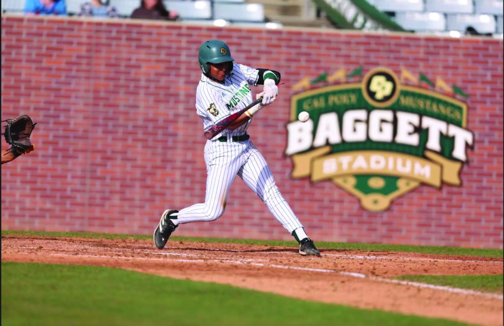 National Statistical Leaders - 2025 - Team - The Baseball Collegian